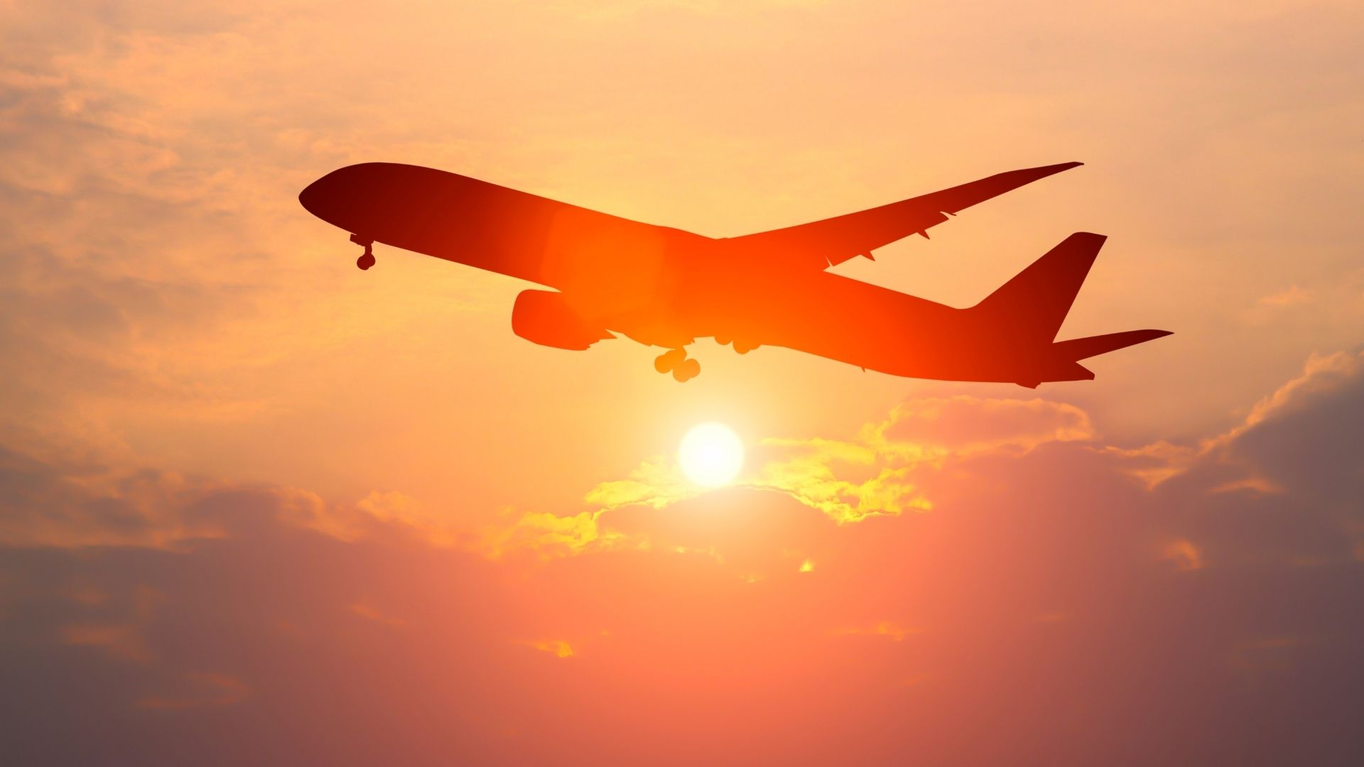 IATA erwartet wegen Corona-Pandemie Rückgang bei Luftverkehr um 66 ...