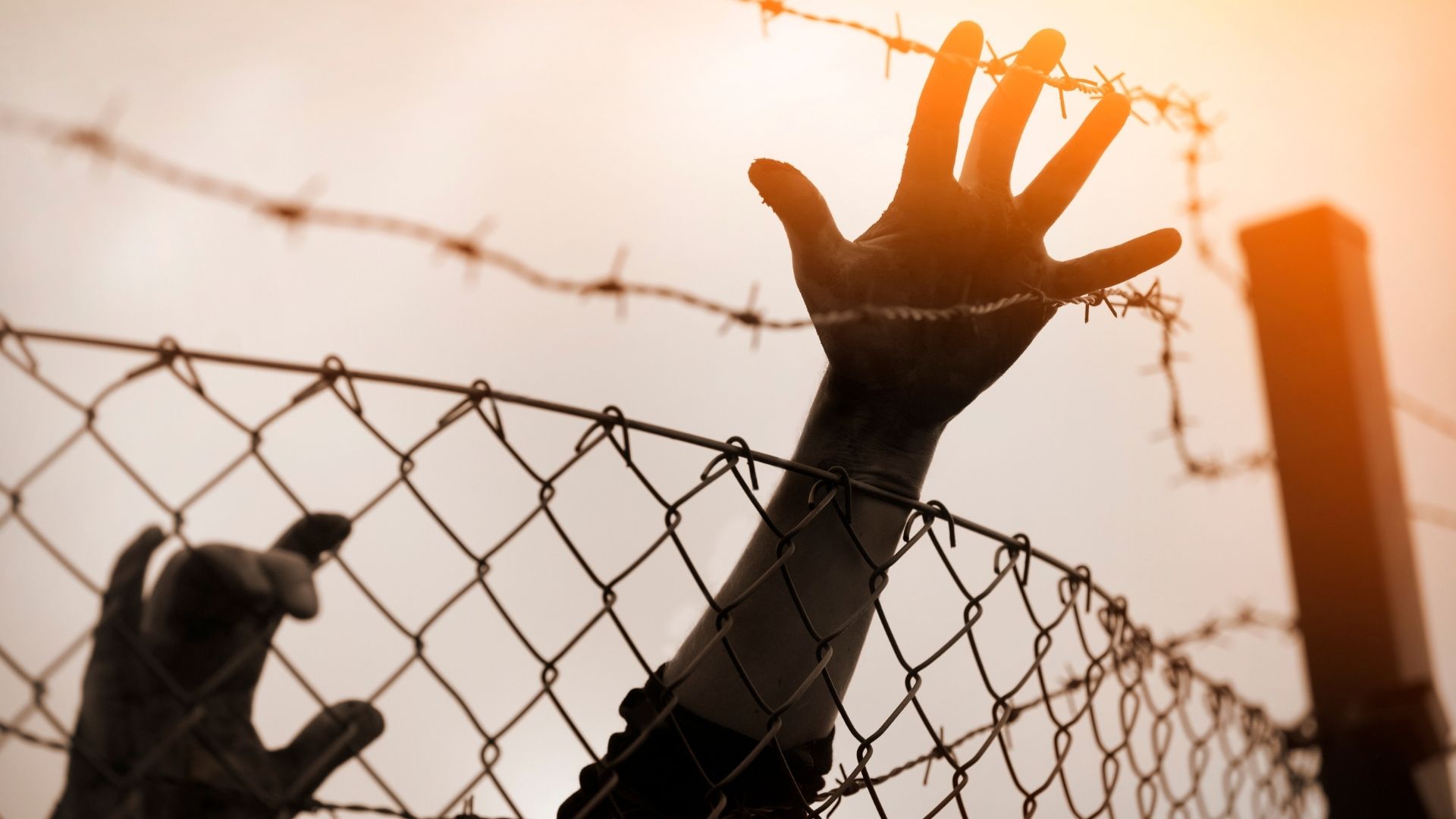 Erneut 26 Menschen nach Afghanistan abgeschoben ⋆ Nürnberger Blatt